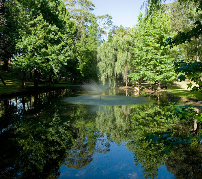 Palmdale Group on the Central Coast - Trusted Funeral Services