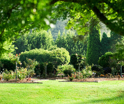 Palmdale Group on the Central Coast - Trusted Funeral Services