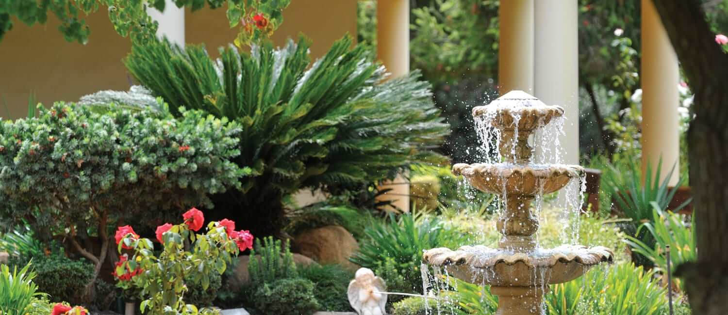 Community and Events - Palmdale Group on the Central Coast