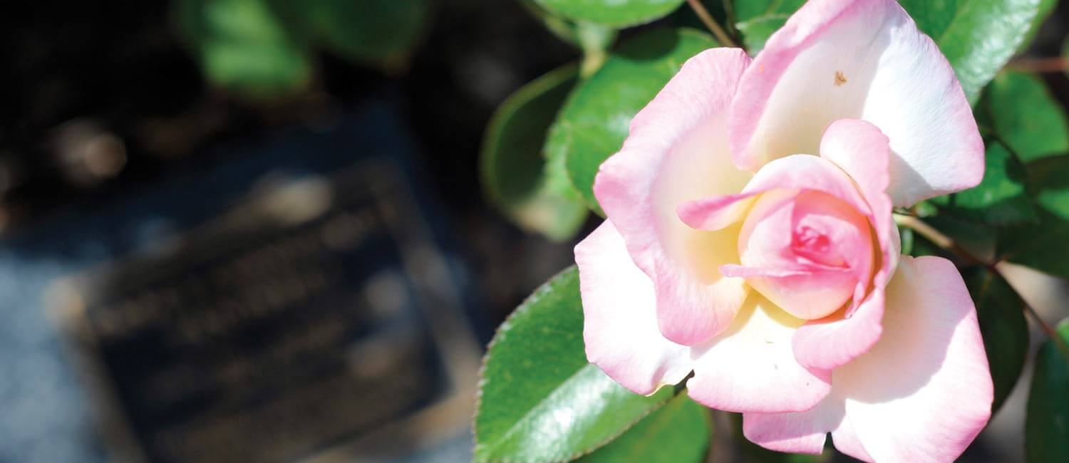 Contact Us - Palmdale Group on the Central Coast