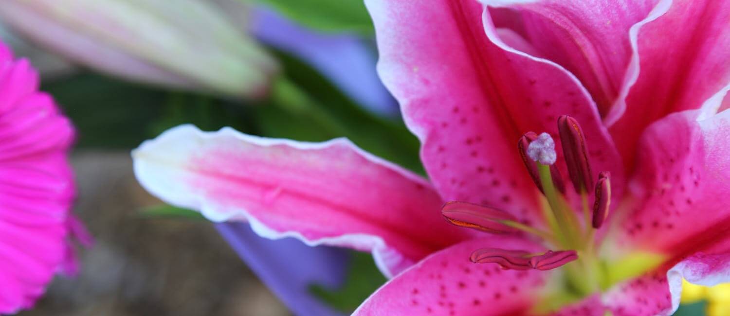 Greenway Chapel & Memorial Gardens - Palmdale Group