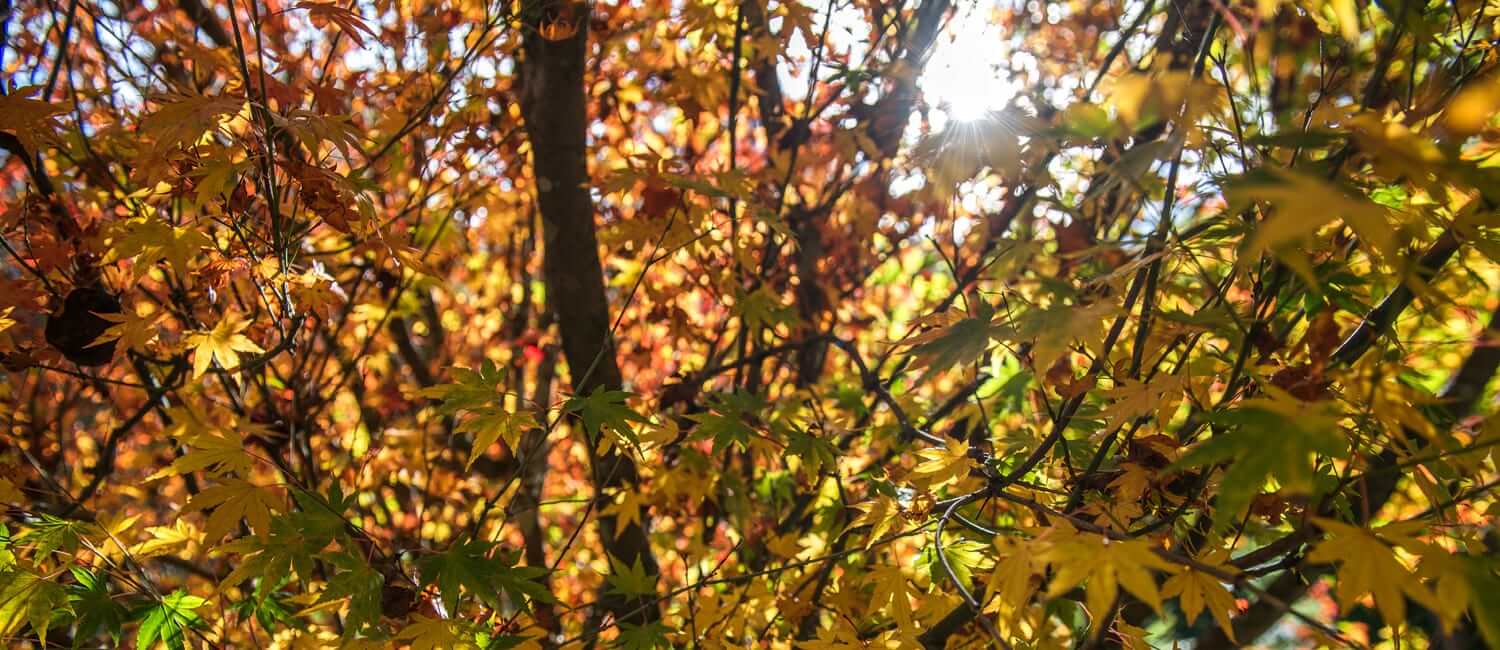 Contact Us - Palmdale Group on the Central Coast