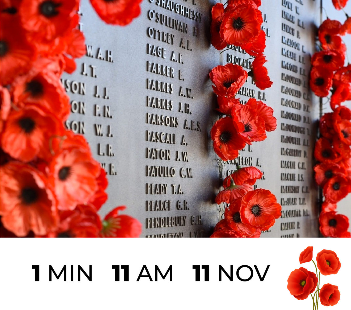 Remembrance Day - Palmdale Group Central Coast